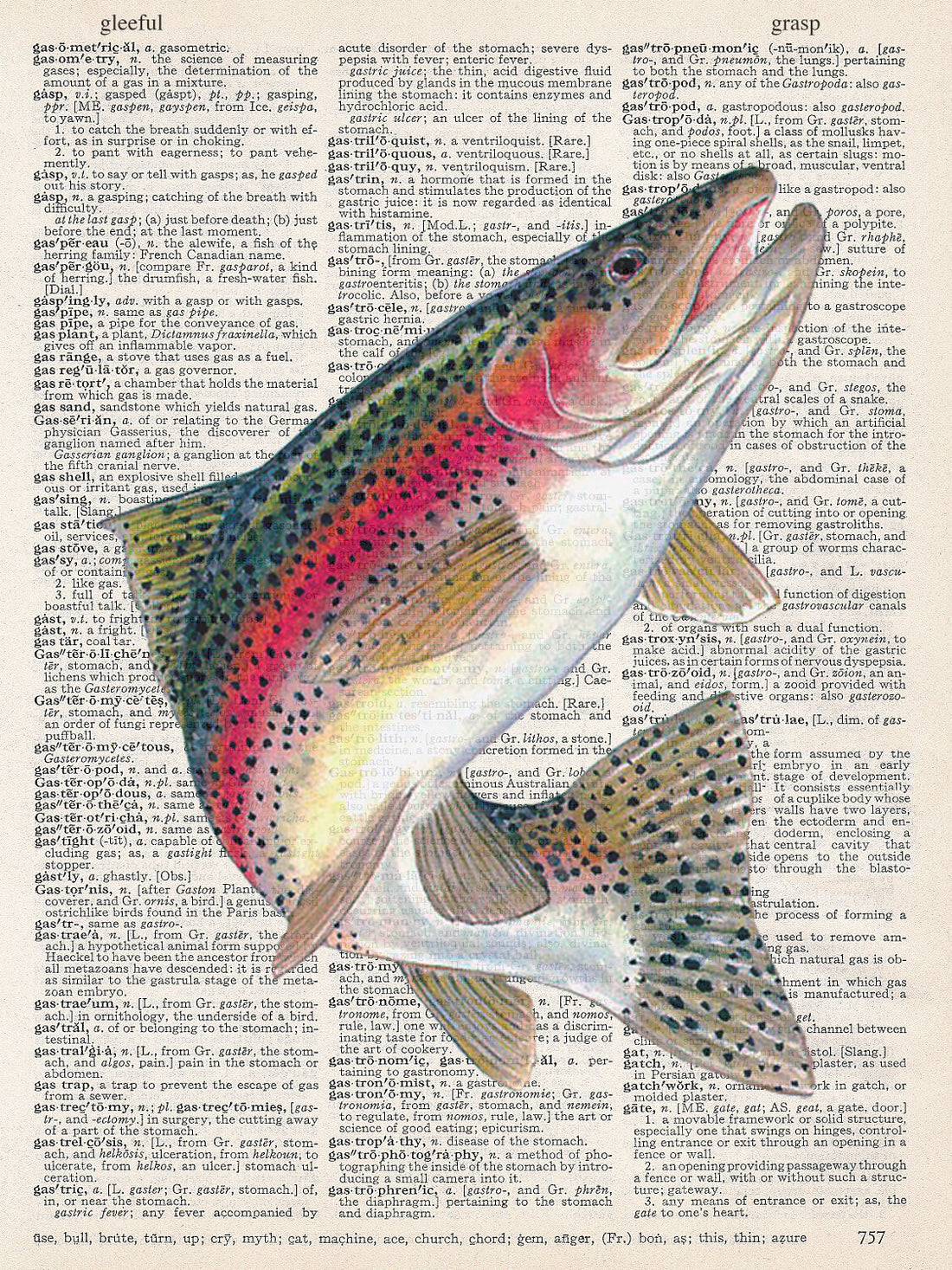 RAINBOW TROUT PRINT – ARTNWORDZ